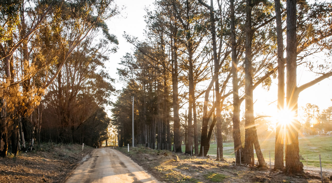 Littlewoods | Littlewoodsu00 Wingello