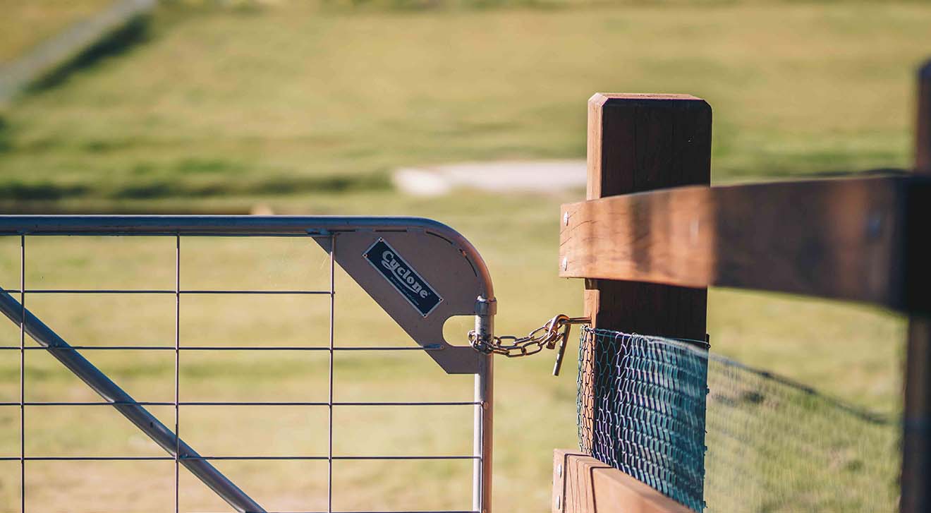 Littlewoods | Littlewoods Wingello