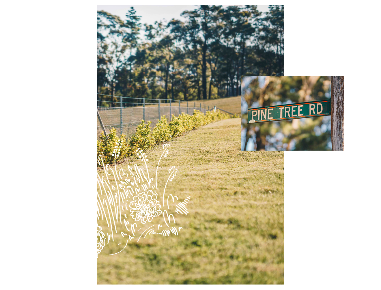 Littlewoods | Littlewoods Wingello